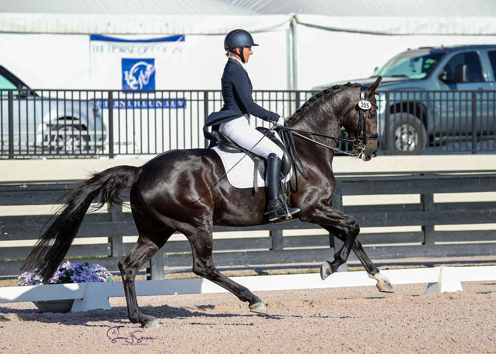 IRH welcomes Jamie Dancer to our team of Ambassadors – IRH Equestrian
