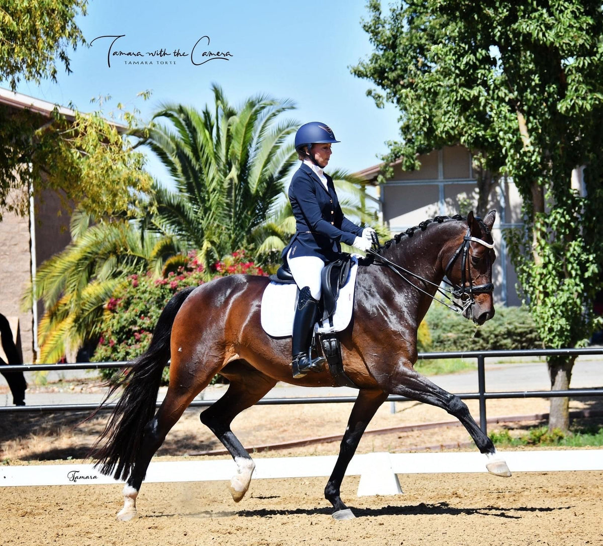 Ambassador Tracey Hill – IRH Equestrian