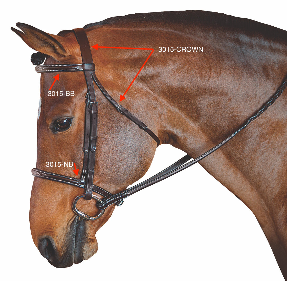 BRIDLE PARTS – IRH Equestrian