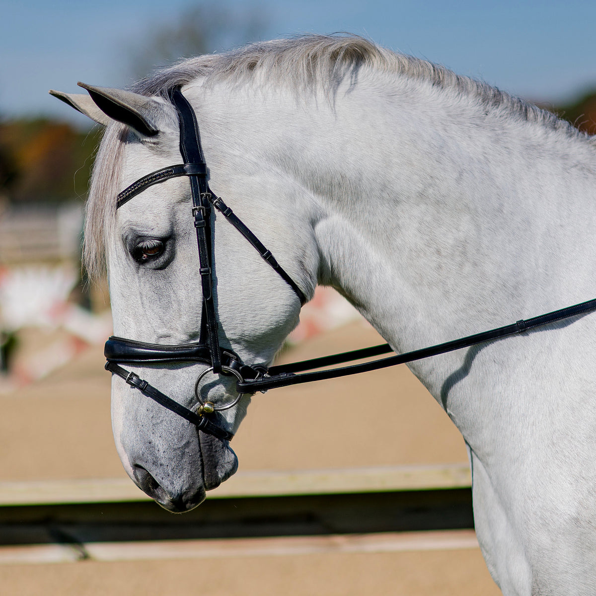 Dressage Bridles – IRH Equestrian