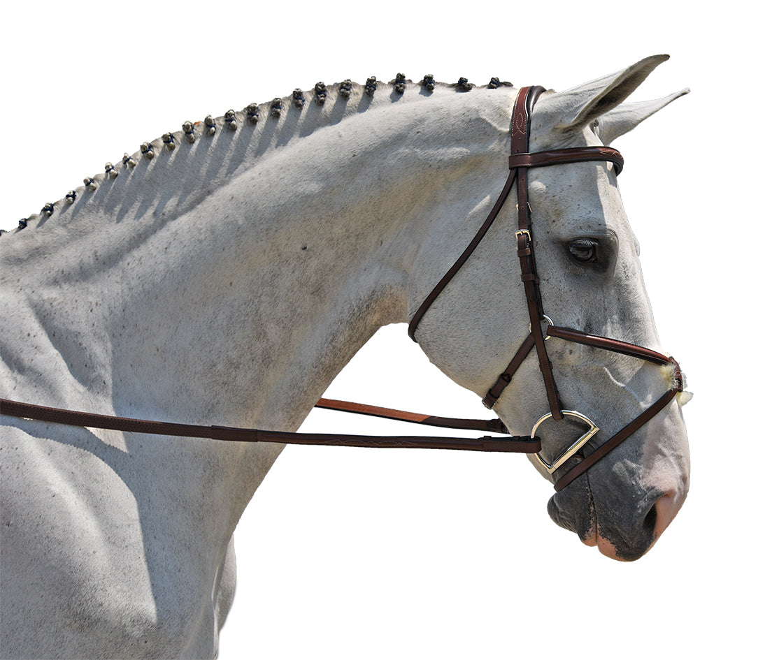 ON SALE MTL Figure Eight Bridle – IRH Equestrian