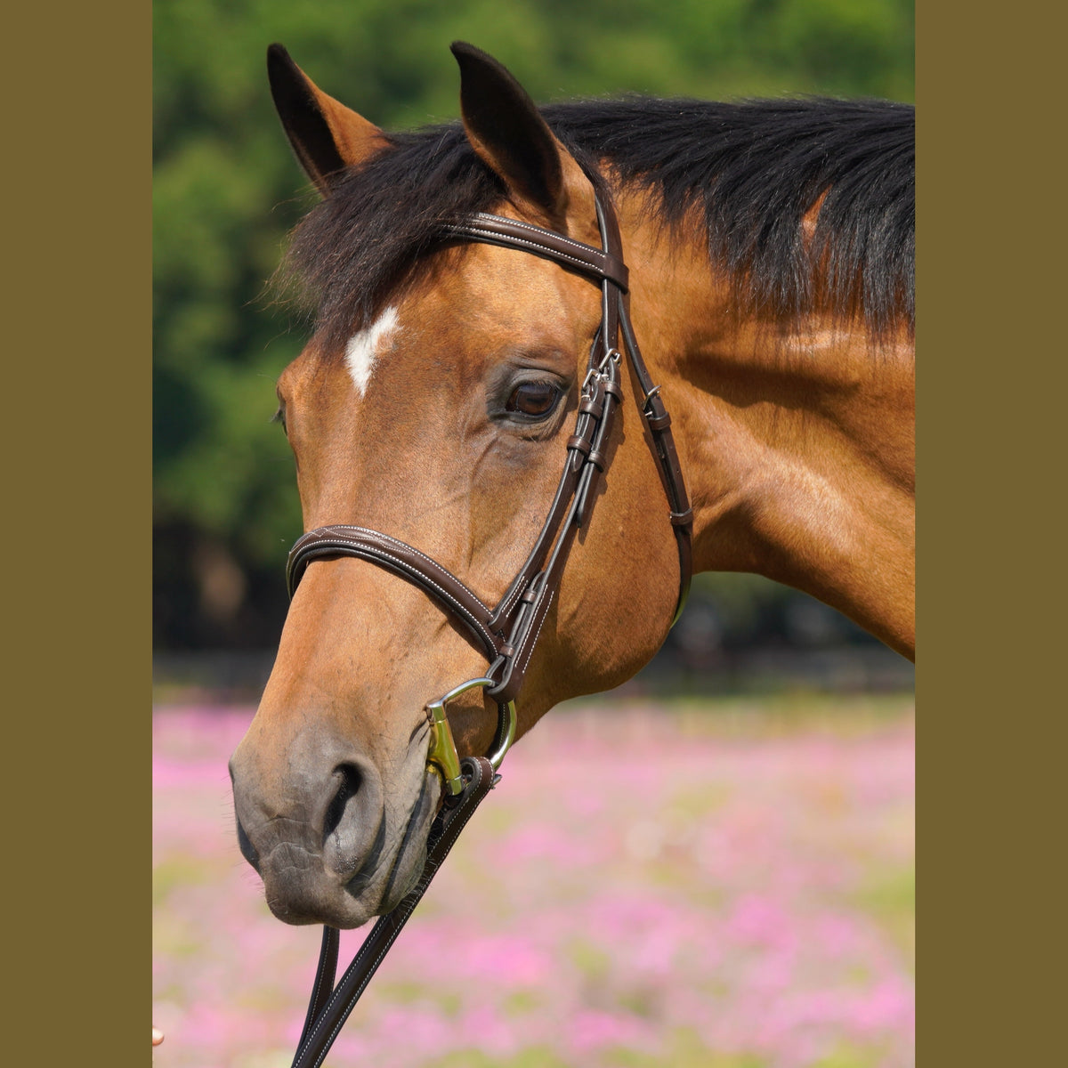 Flex Rider Fancy Stitched Raised Snaffle Hunter Bridle – IRH Equestrian